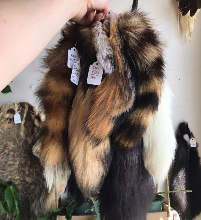 Rugs & Skins | Natural Selection Store - Purveyors of all things odd ...